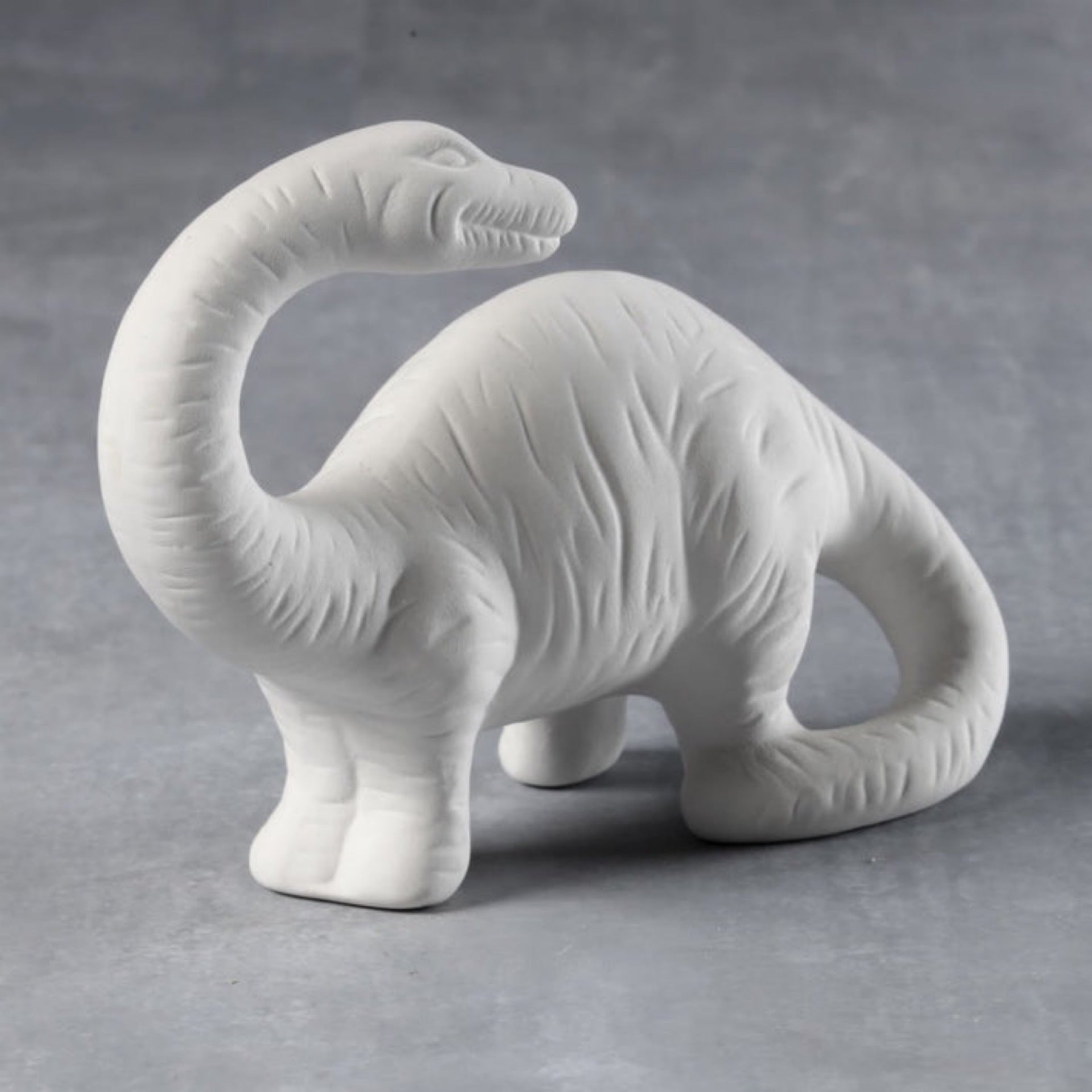 Bronto Dino | Pottery Haven